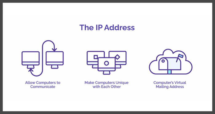 What is an IP Address? A Complete Guide